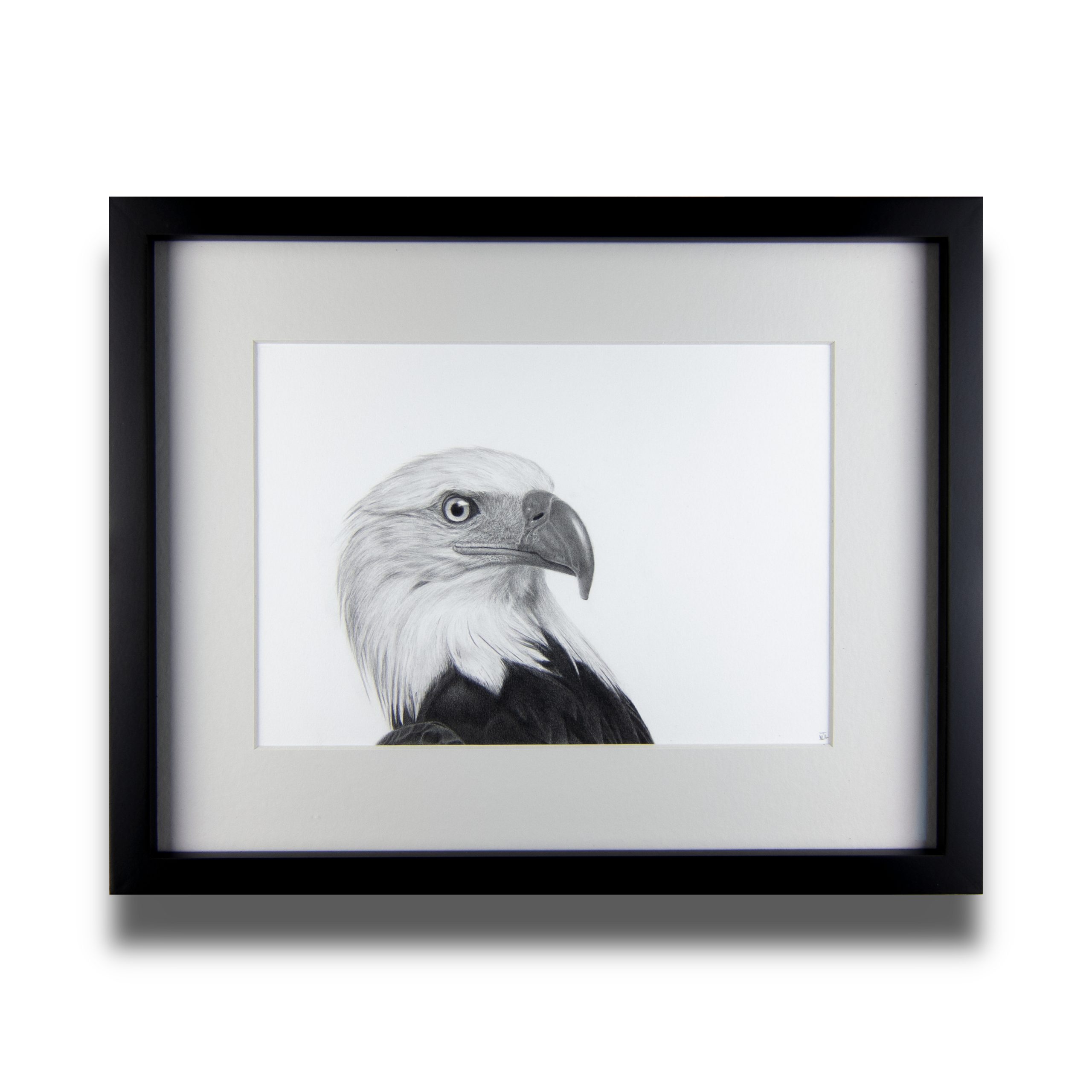 Animal Headshots | jimsmedium