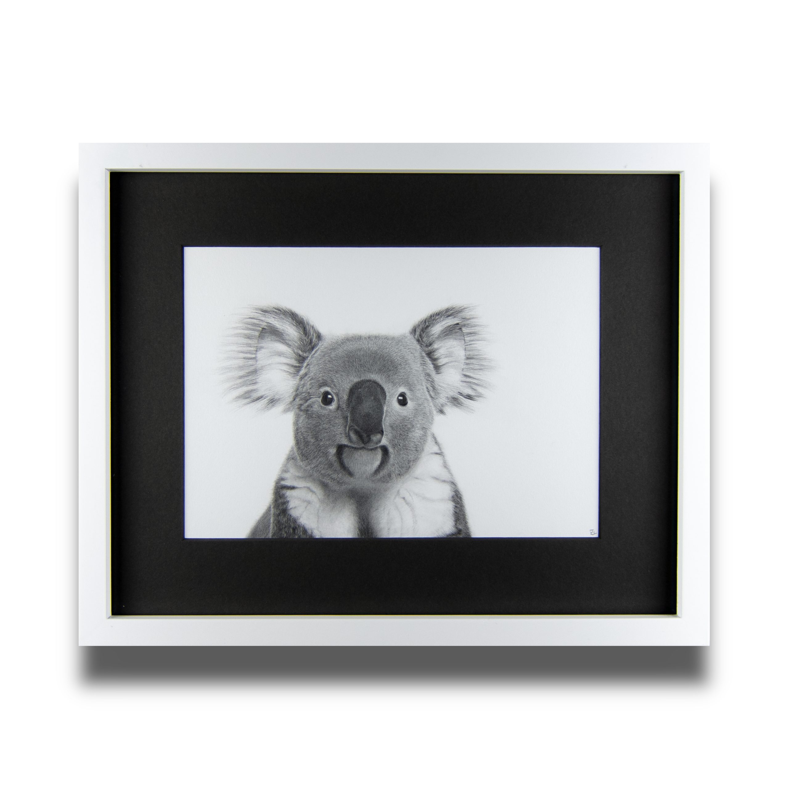 Animal Headshots | jimsmedium