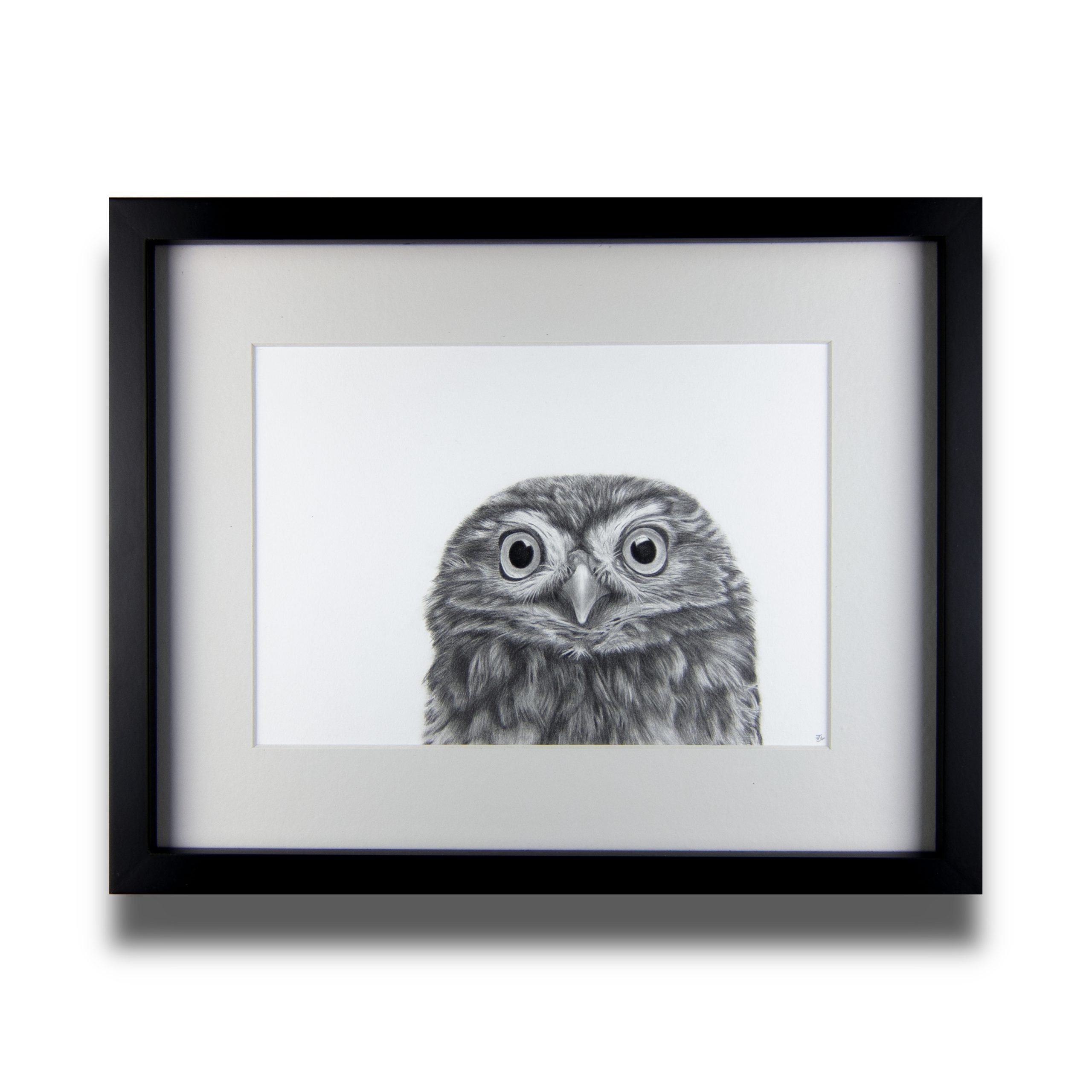 Animal Headshots | jimsmedium