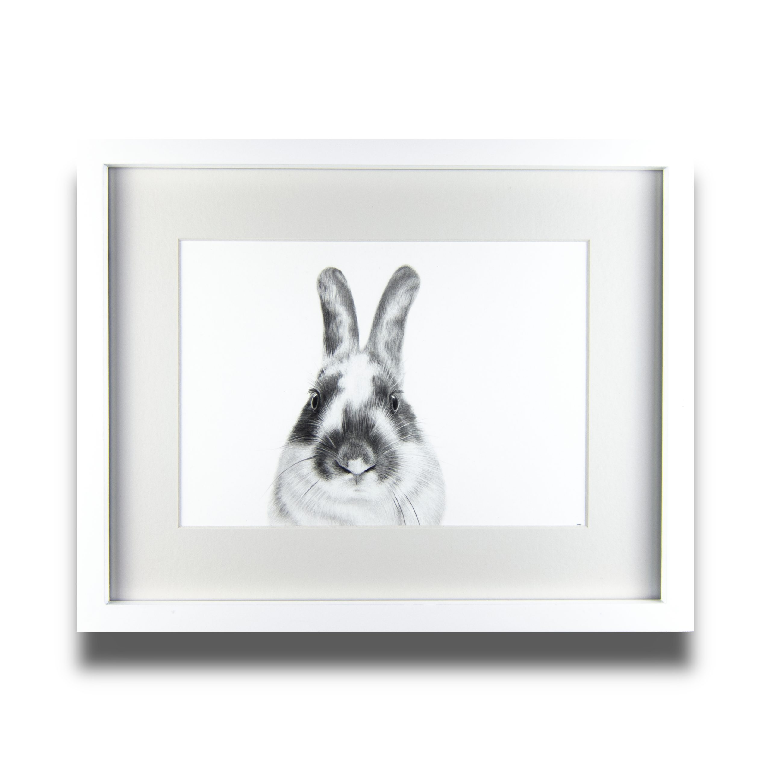 Animal Headshots | jimsmedium